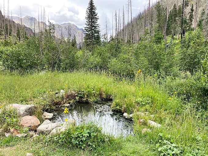 Smaller pools dot the landscape, offering intimate soaking spots for those seeking solitude among the San Juan wilderness.