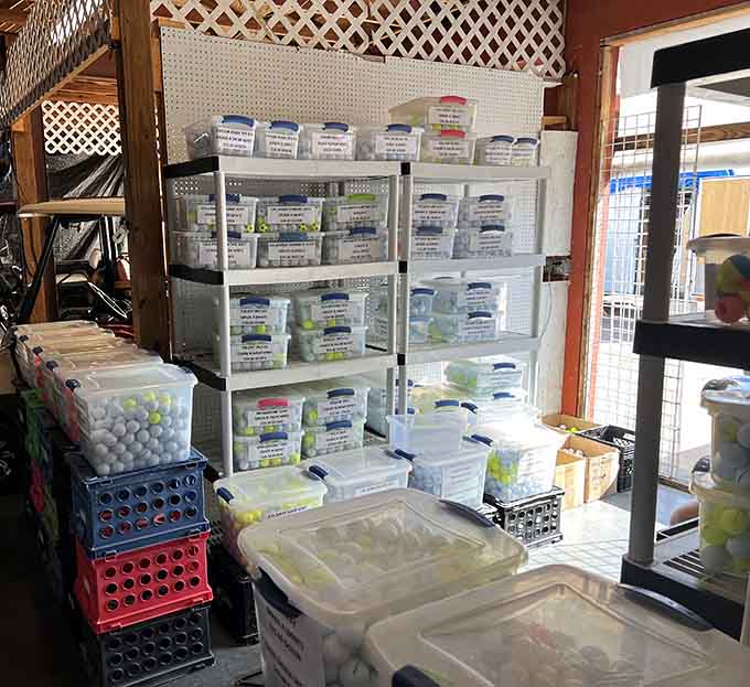 Golf balls organized with museum-level precision, ready to find new water hazards to call home.