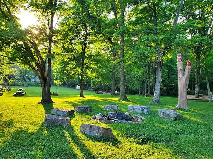 Hayes Arboretum's natural beauty costs nothing to enjoy, proving the best things in life really are free, Mom was right.