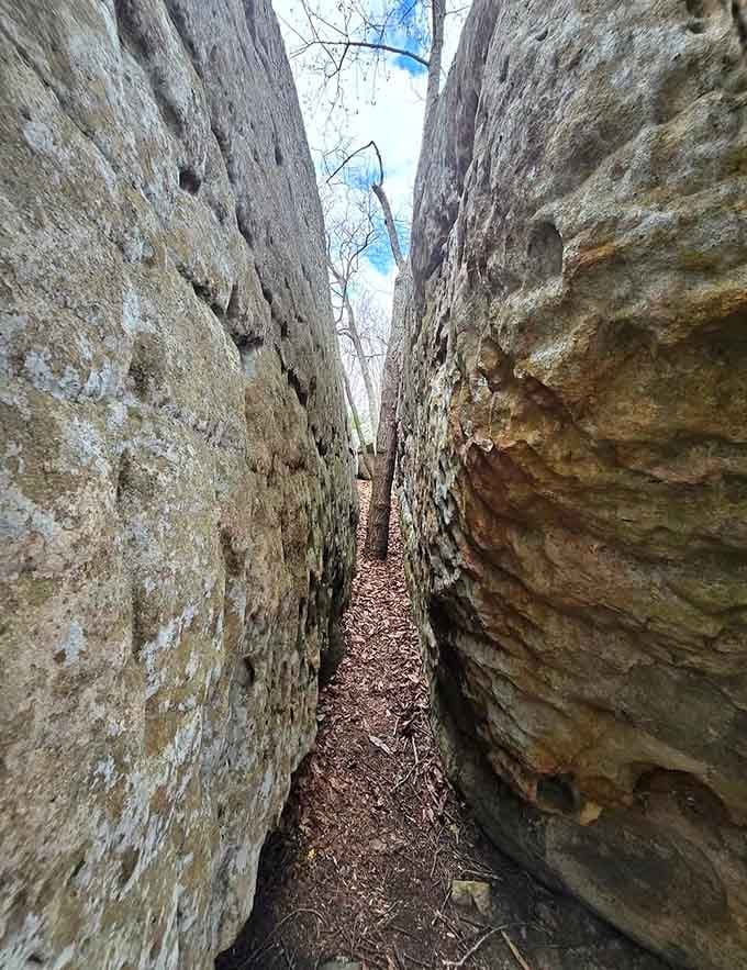 Squeeze through here and you'll feel like Indiana Jones, minus the boulder and with better cell service.