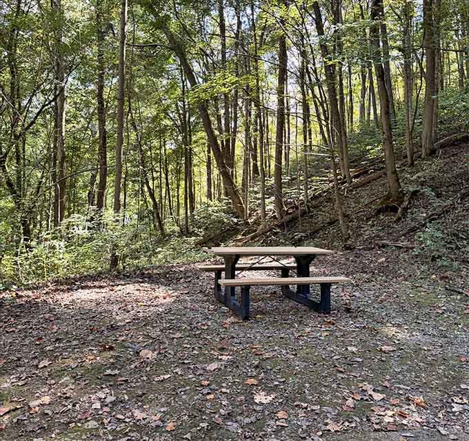 Even picnic tables feel contemplative here, positioned perfectly for pondering the impermanence of human entertainment endeavors.