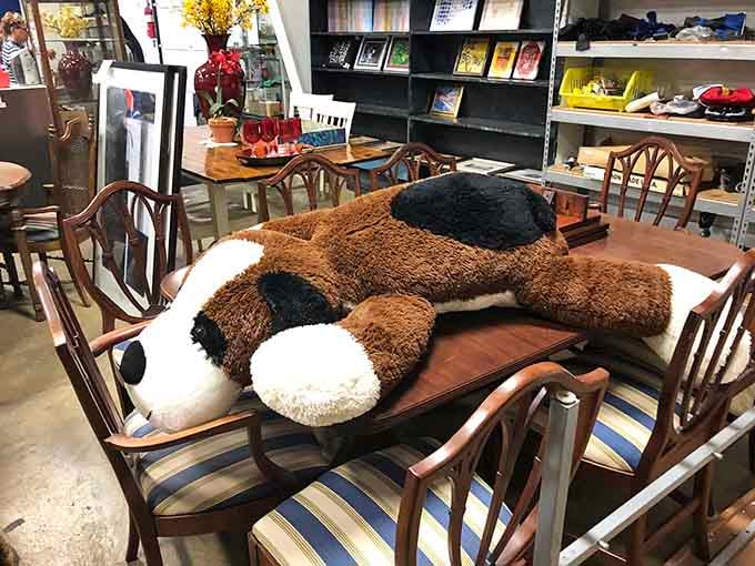 Even the stuffed animals find second chances here, waiting to bring joy to new kids at prices that make parents smile.