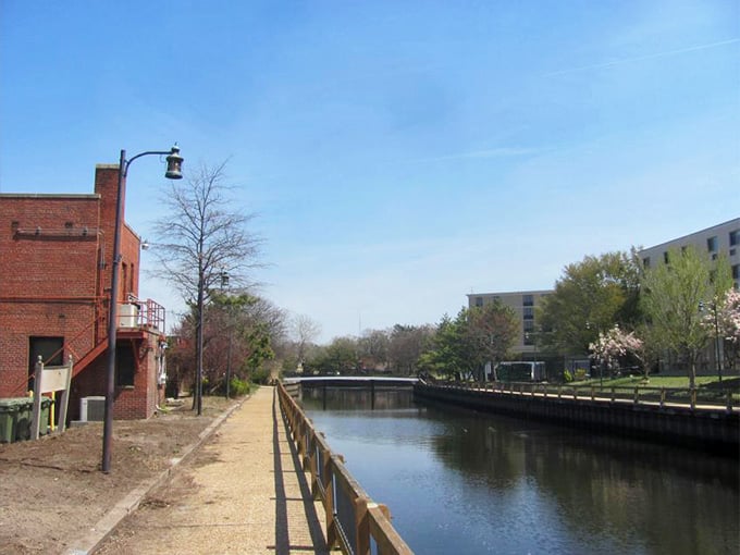The Salisbury Riverwalk offers peaceful waterside strolls where the only traffic jam involves ducks and occasional kayakers.