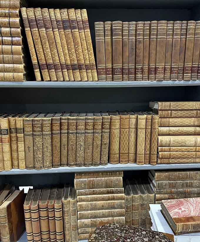 Leather-bound volumes that smell like history and look impressive on shelves, whether you read them or not.