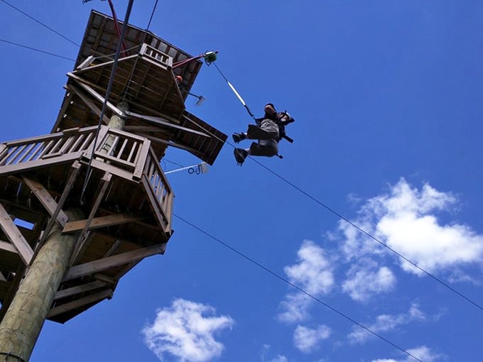 The tower that launches a thousand screams of joy, terror, and everything gloriously in between those emotions.