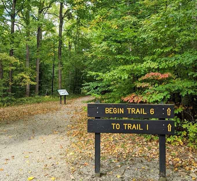 Trail markers that promise adventure without requiring a compass, GPS, or wilderness survival training to enjoy.