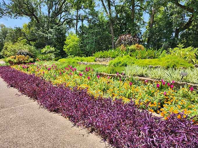 When your flower beds look this vibrant and perfectly arranged, you're basically showing off—and we're absolutely here for it.