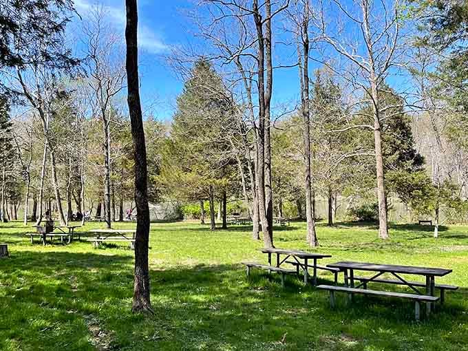 Picnic tables positioned under towering trees turn lunch into an event, no reservations or dress code required here.