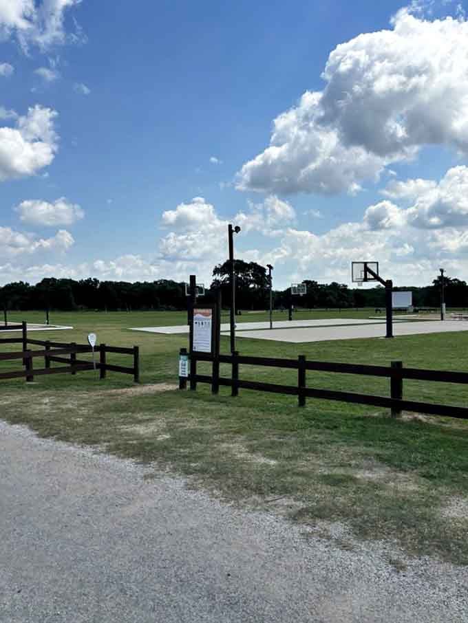 Basketball courts where you can pretend you're still twenty until your knees remind you otherwise quite loudly.