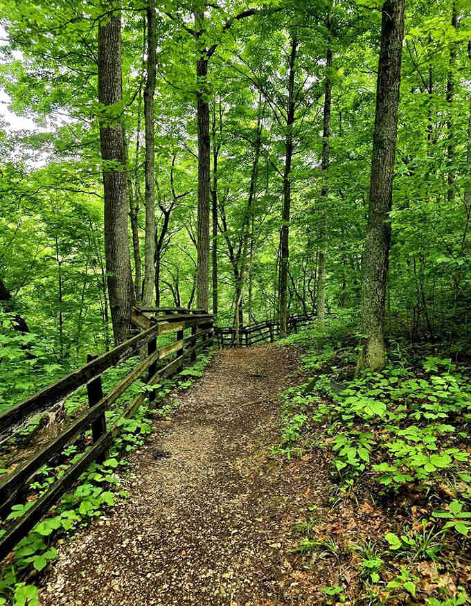 Forest trails wind through trees so thick you half expect Thoreau to come strolling by.