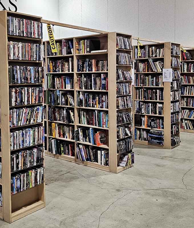 DVD shelves packed tighter than a video store in 1999, minus the late fees and judgmental clerks questioning your choices.