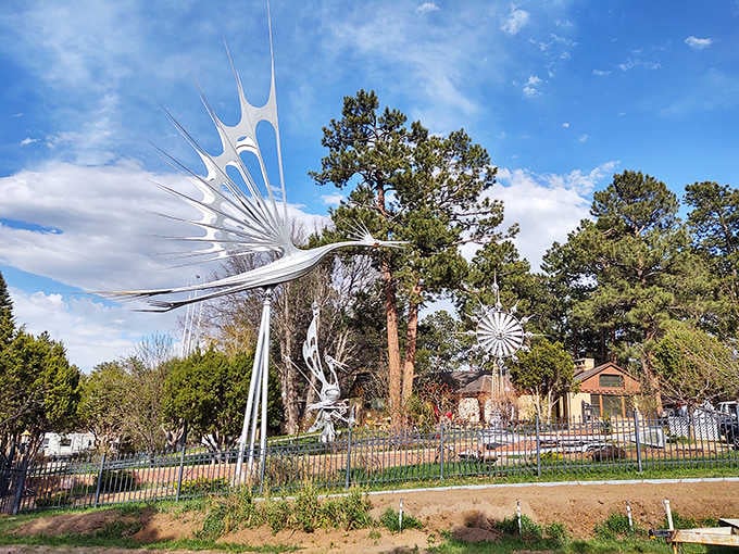 The entire collection transforms an ordinary front yard into an outdoor gallery where every breeze conducts a silent symphony.