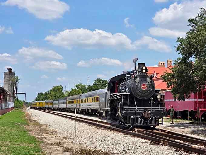 The full train stretched along the tracks showcases the impressive length of this authentic heritage railway experience.