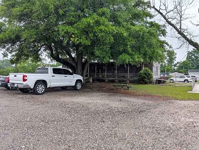 The parking lot fills up fast when you're serving the kind of food that makes people drive for hours.