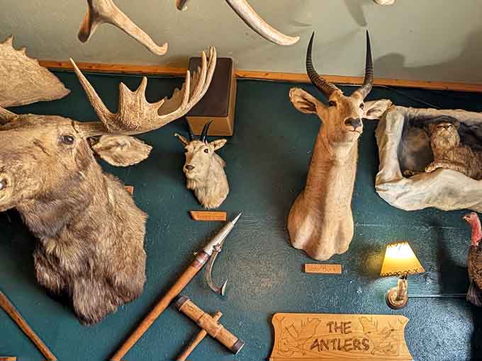 Wall-to-wall taxidermy creates a museum vibe, except this one serves excellent food and nobody shushes you for talking.