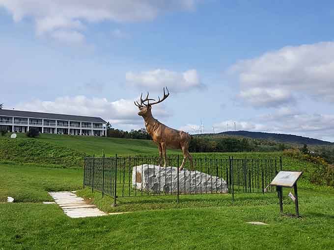 The Elk on the Trail statue watches over travelers with the kind of majesty that makes you slow down.
