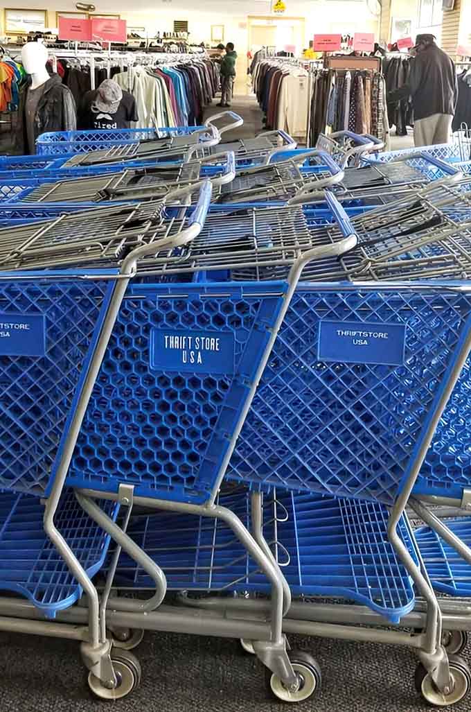 Those signature blue shopping carts are your trusty companions on this treasure-hunting expedition through secondhand paradise.