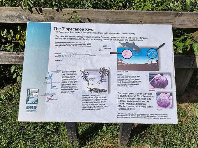 Learning about mussels and river ecology beats scrolling through your phone, and that's saying something these days.