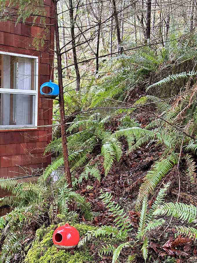 Those colorful birdhouses prove even the local wildlife gets better accommodations than most city apartments offer.