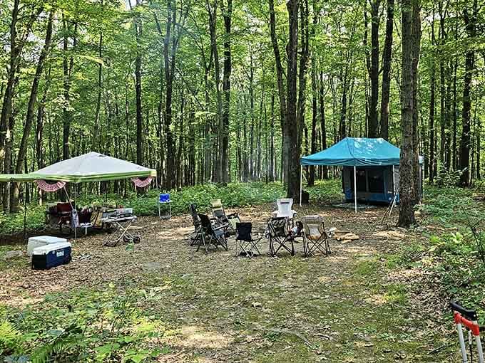 These spacious campsites offer enough privacy to feel remote while keeping civilization close enough for emergency snack runs.