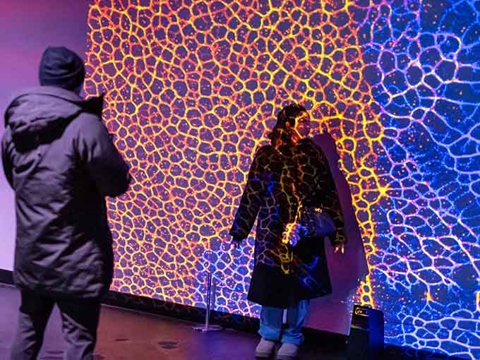 Cellular patterns glow like bioluminescent organisms, transforming visitors into explorers discovering new life forms on a distant planet.