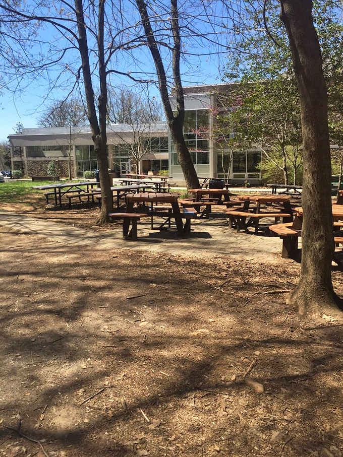 Picnic tables await your arrival, ready to host everything from family gatherings to solo sandwich contemplation sessions.
