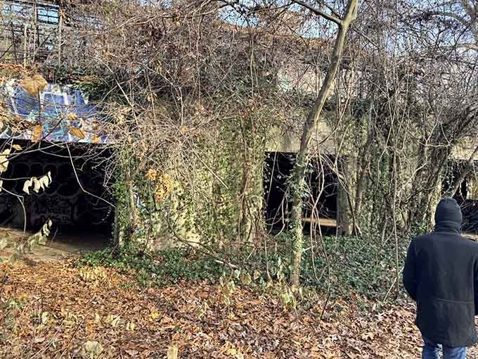 Nature's slow-motion takeover of these greenhouse ruins creates scenery that's equal parts haunting and absolutely Instagram-worthy.