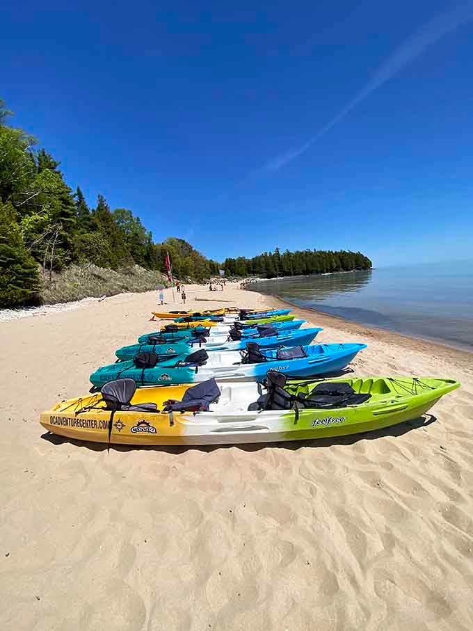 Kayak rentals turning your beach day into a proper adventure on some seriously gorgeous water.