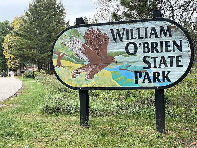 The park's welcoming sign features a majestic bird of prey, hinting at the wildlife encounters awaiting you inside.