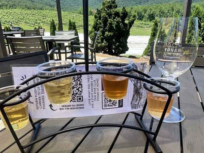 A proper wine flight presentation with mountain views beats any fancy restaurant setup you can imagine.