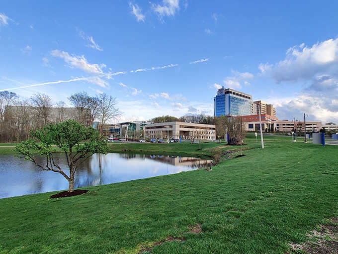 Modern buildings rise beyond green lawns and reflecting ponds where old meets new harmoniously together.