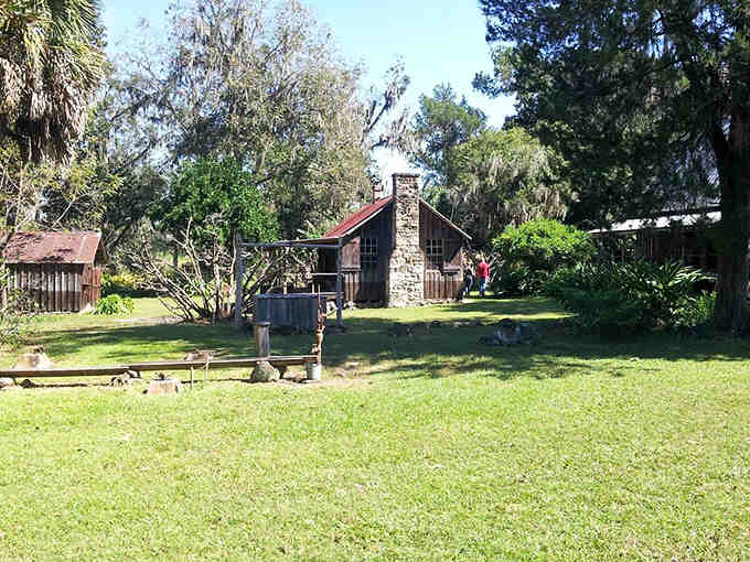 This rustic cabin sits surrounded by green grass and old trees, looking like something from a Florida history book.