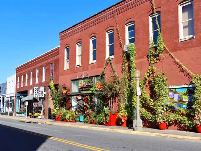 Occoquan's multi-story buildings stack charm on top of character, creating layers worth exploring floor by floor.