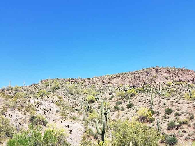 The hills nearby stand witness to countless homecomings, each one marked by this same reliable blue rectangle of joy.