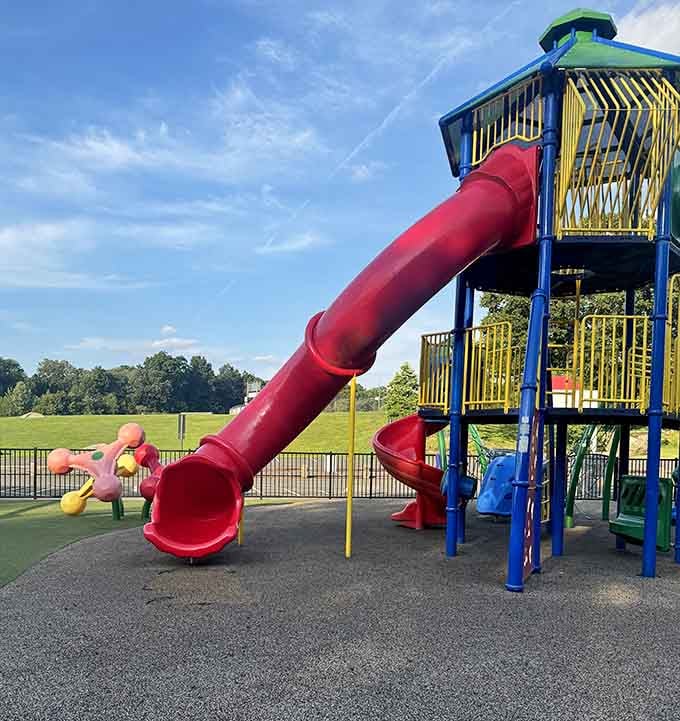 That spiral slide looks like it was designed by someone who remembers exactly what childhood excitement feels like.