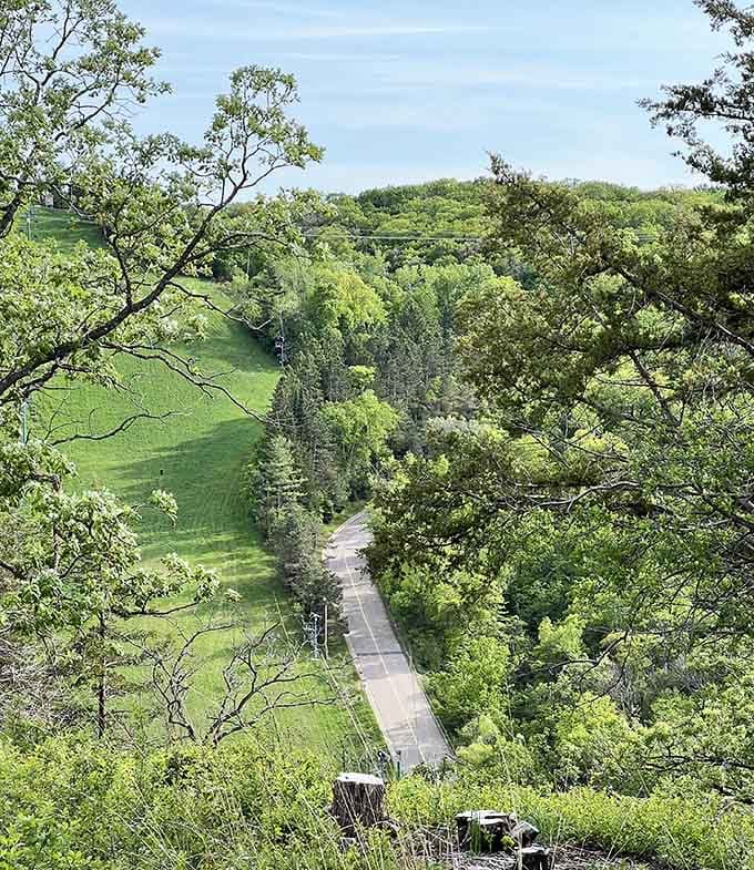 That winding road through green valleys looks like the scenic route your GPS always tries to avoid.