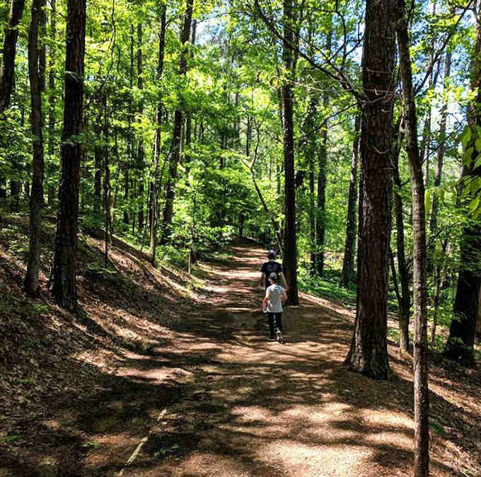 Shaded woodland trails where the only traffic jam involves deciding which path to explore first today.