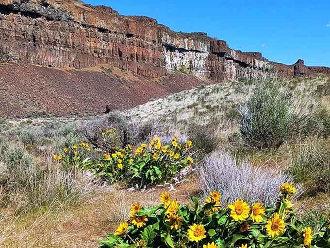 Spring wildflowers add cheerful yellow pops against rust-colored cliffs, proving nature loves a good color palette too.
