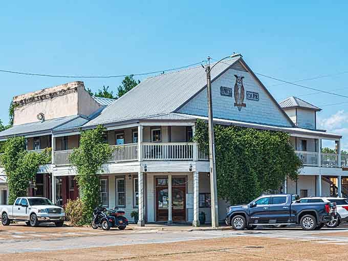 The Owl Cafe's ivy-covered charm makes you want to order breakfast and never leave, which is perfectly acceptable retirement behavior.