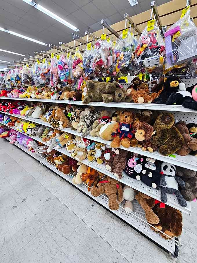 Stuffed animals crowd the shelves like a plush convention, each one hoping some kid picks them for snuggles.