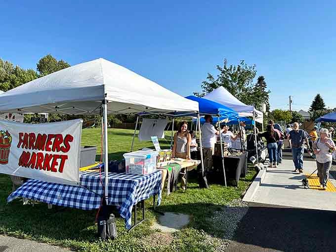 Farmers markets bring fresh local produce to Geiser Pollman Park, where your grocery budget actually makes sense again.