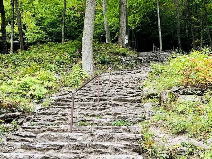 Stone steps with handrails prove that even rugged nature trails can offer a helping hand.