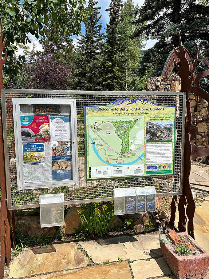 The welcome board maps out your adventure through this alpine wonderland, though getting pleasantly lost here wouldn't be terrible either.