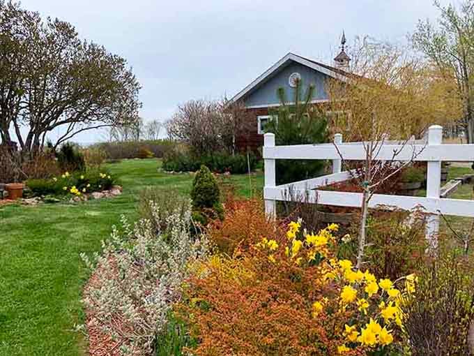 Spring brings color back to the property, with flowers blooming like they're celebrating another winter survived on Superior's shore.