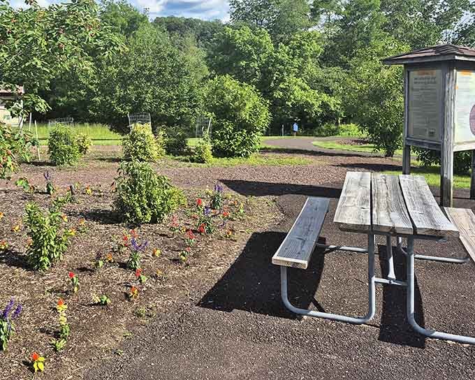 A simple picnic table sits ready for your lunch break, with young plantings promising even more beauty in seasons to come.