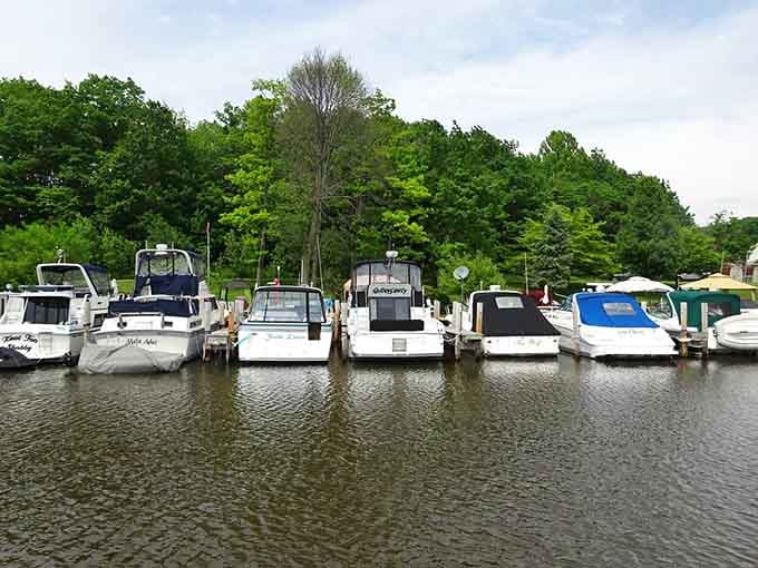 These docked vessels rest peacefully along the tree-lined shore, creating a postcard-perfect slice of Michigan marina life.