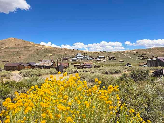 Wildflowers blooming among the ruins create a surprisingly cheerful contrast to the weathered buildings and abandoned dreams behind them.