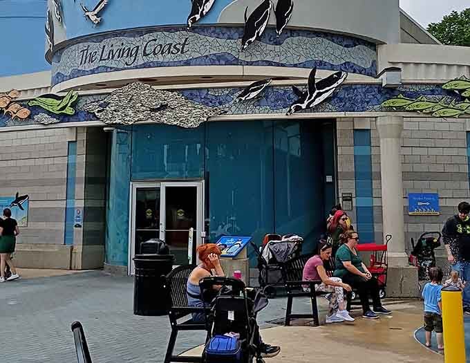 The Living Coast entrance promises adventures that'll make you forget you're still technically in the Midwest.