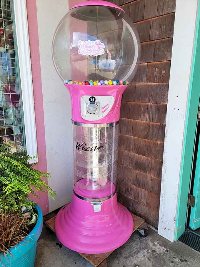 This vintage gumball machine stands sentinel outside, tall as a fourth-grader and twice as charming.