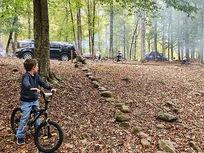 Camping here means your neighbors are trees instead of people, which is exactly the kind of social distancing we need.